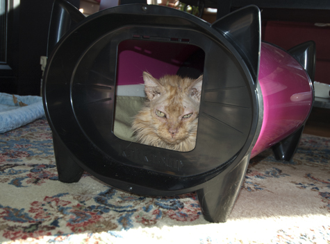 CiCH PRODUCT REVIEW: KatKabin Dez Rez | Covered in Cat Hair