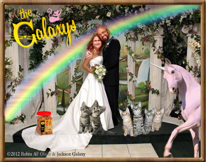 Dining with The Cat Daddy, Jackson Galaxy. Part 3. | Covered in Cat Hair