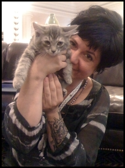Cat Conference | Covered in Cat Hair