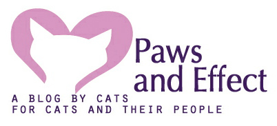 Jackson Galaxy | Page 3 | Covered in Cat Hair